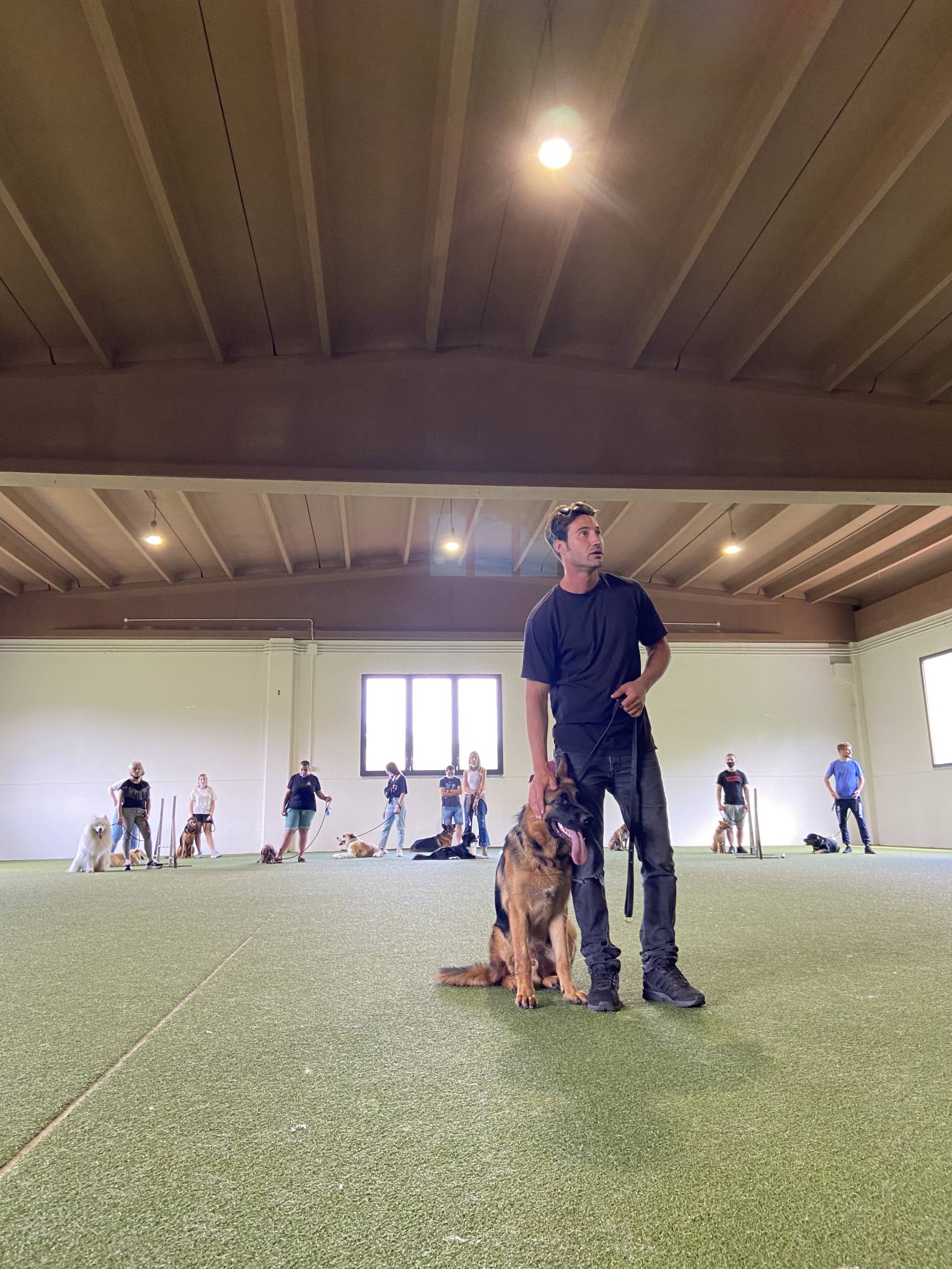 addestramento cani da compagnia - University Dog