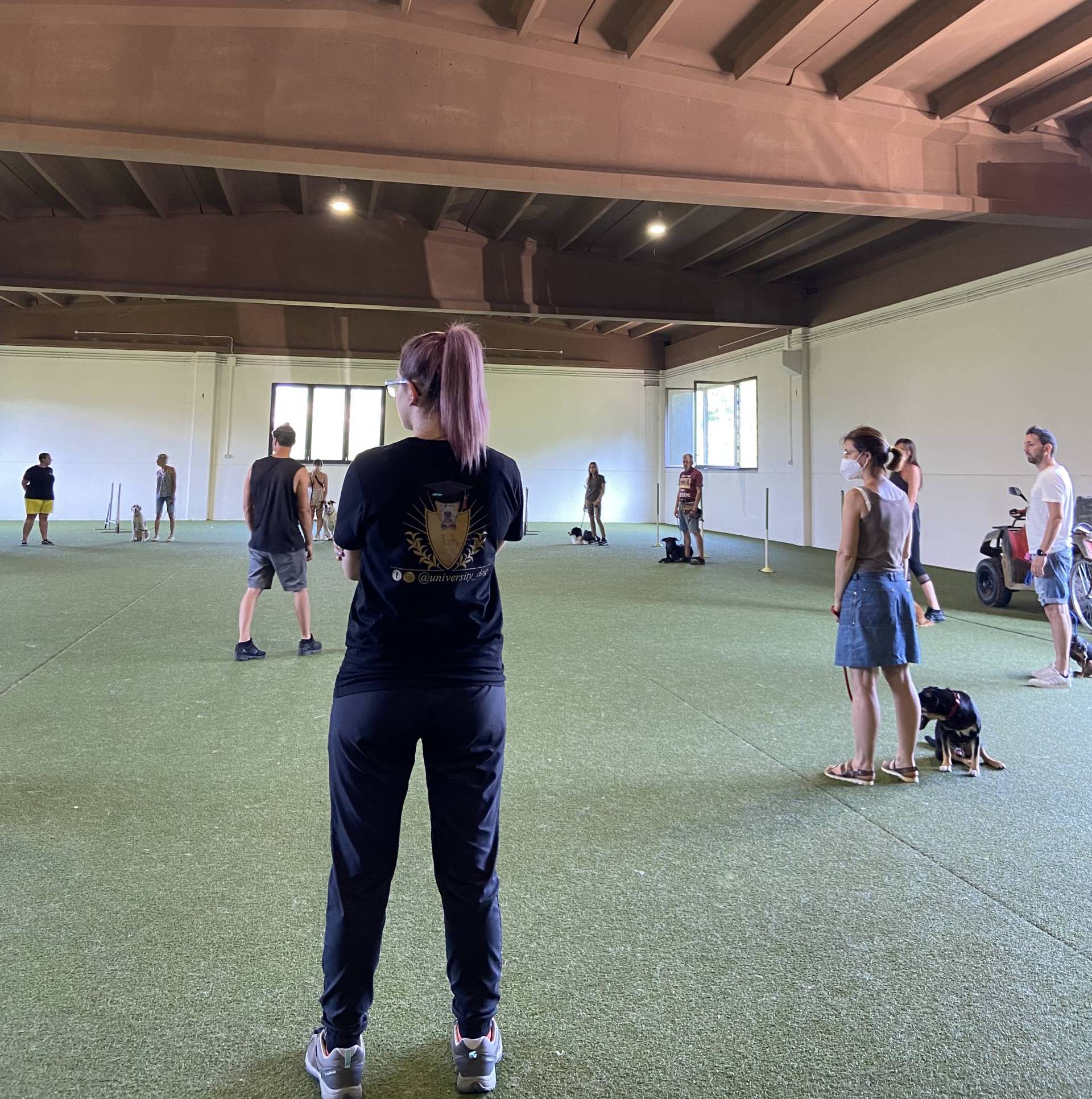 test di valutazione cane - University Dog